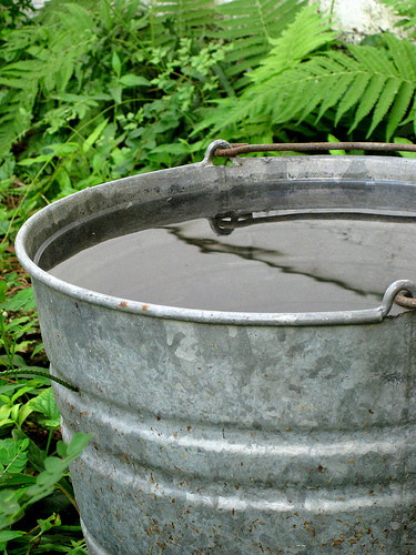 1948 onwards - Cat's have nine lives - I feel I'm on number eight.: The ...